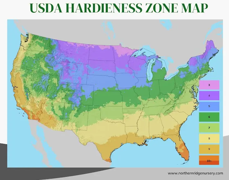 Find Your USDA Hardiness Zone by ZIP Code | Northern Ridge Nursery