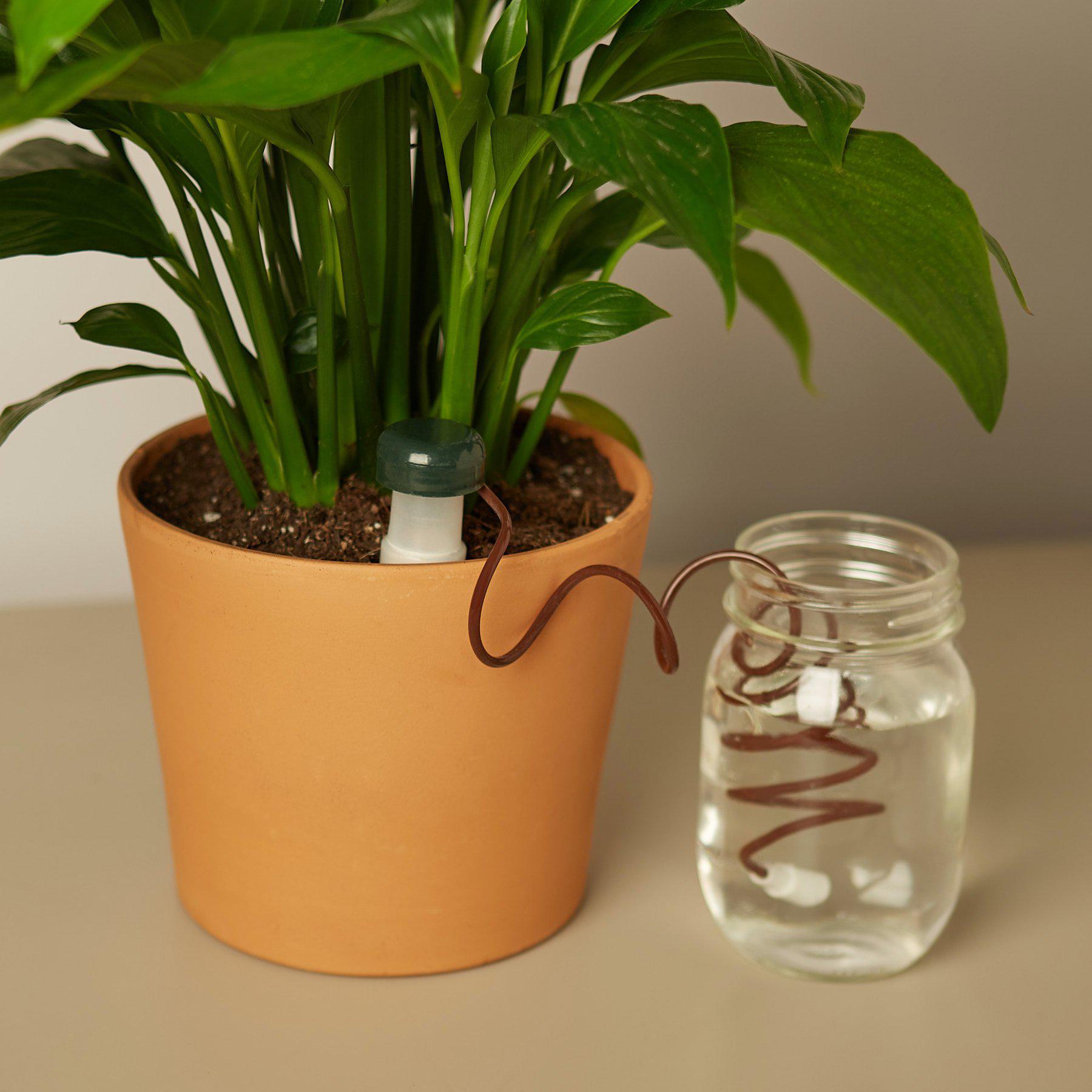 Automatic Plant Waterers – Northern Ridge Nursery