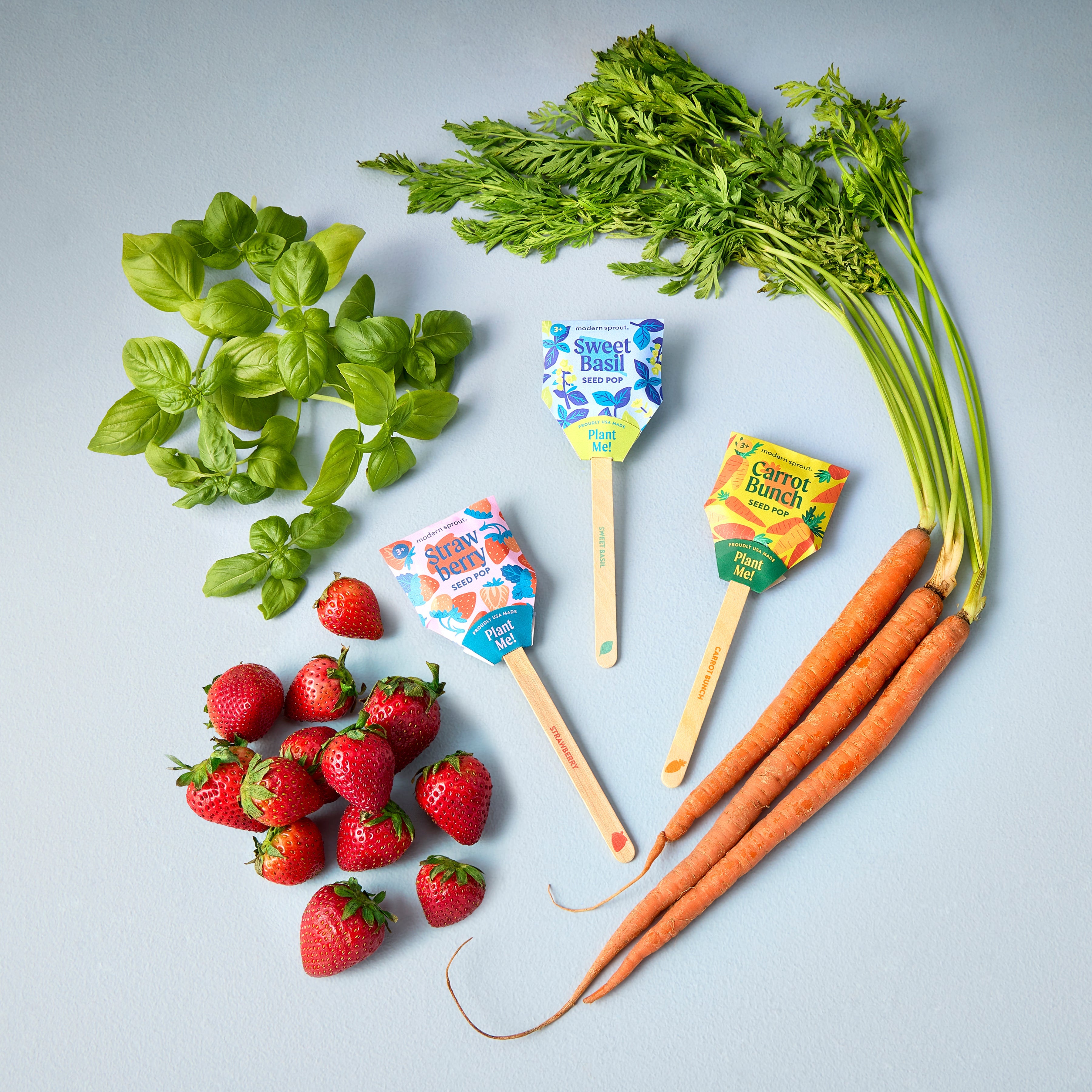 Seed Pops - Garden – Northern Ridge Nursery