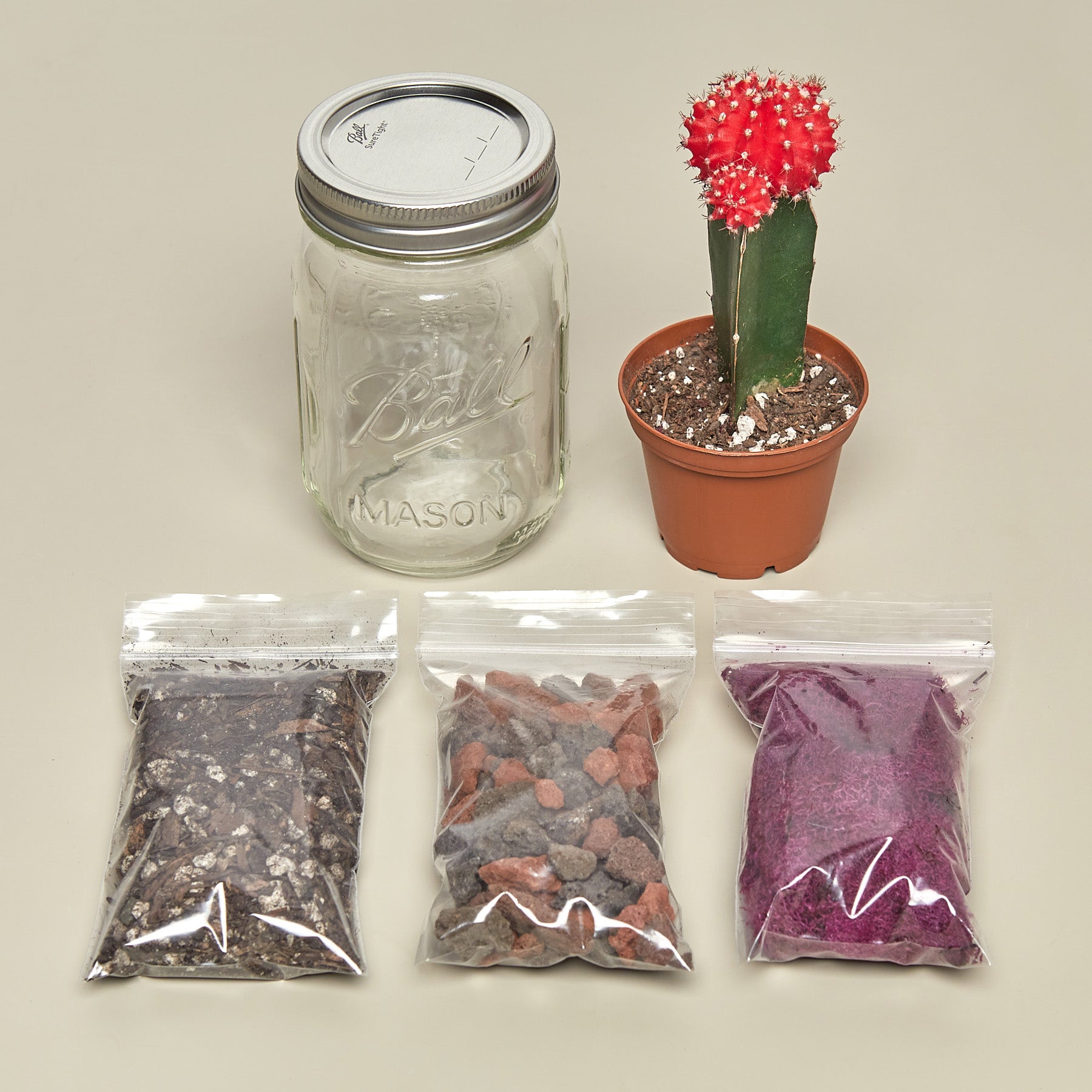 Mason Jar Terrarium Kit – Northern Ridge Nursery