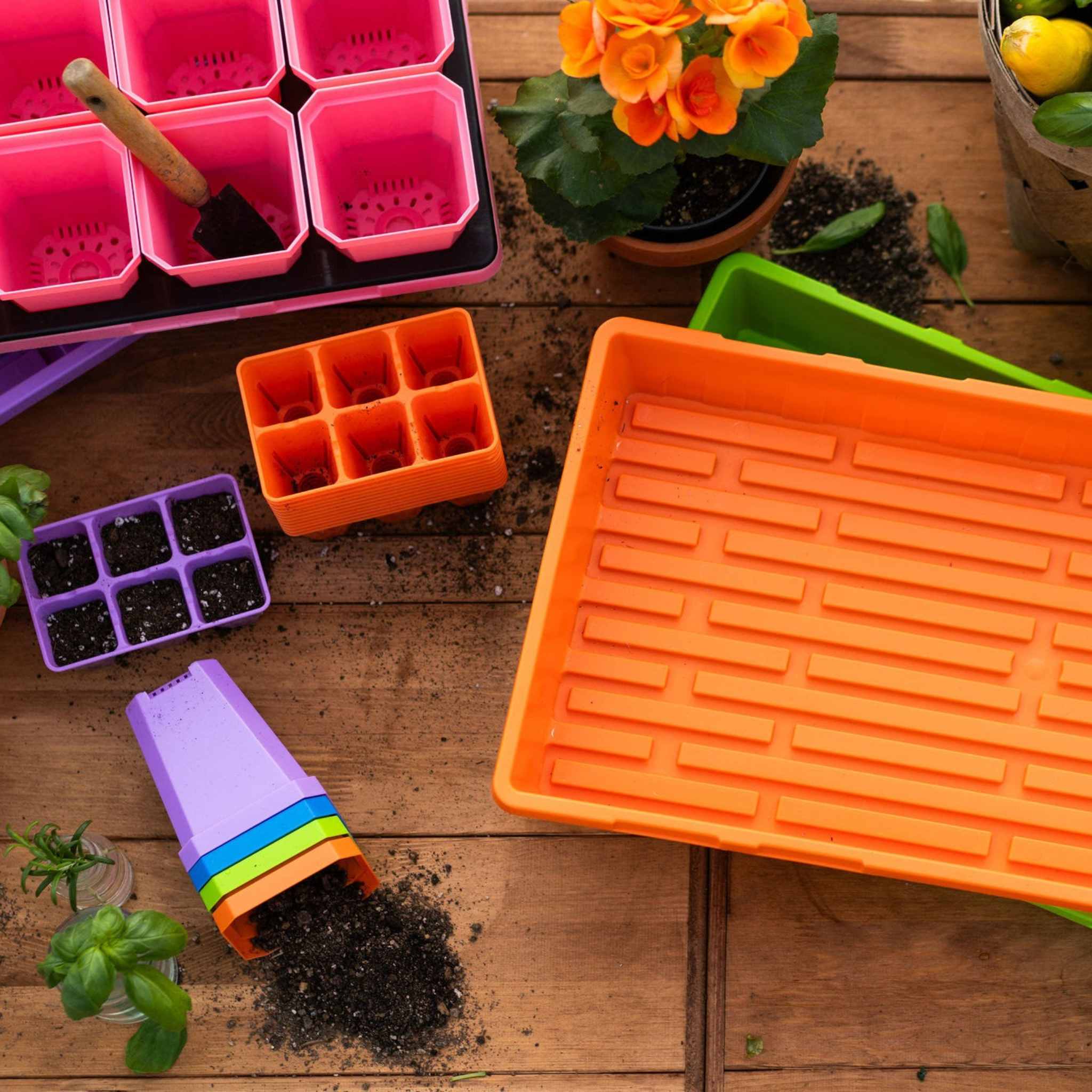 Ultimate Backyard Gardener Bundle – Northern Ridge Nursery