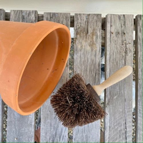 Flower Pot Brush - Made in Germany – Northern Ridge Nursery
