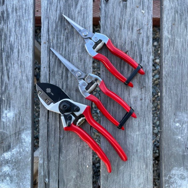 Garden Pruner Bundle Gift Set - Save on 3 – Northern Ridge Nursery