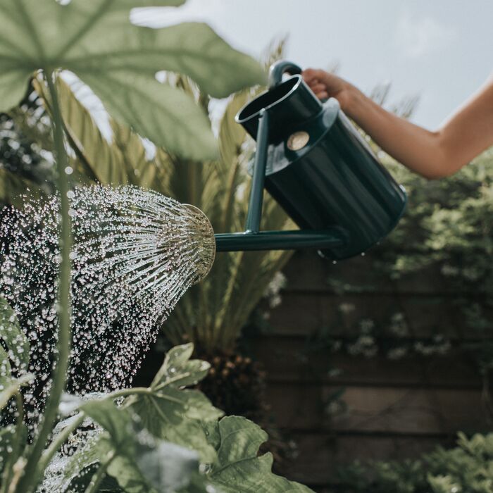 Haws Bearwood Brook - Watering Can – Northern Ridge Nursery