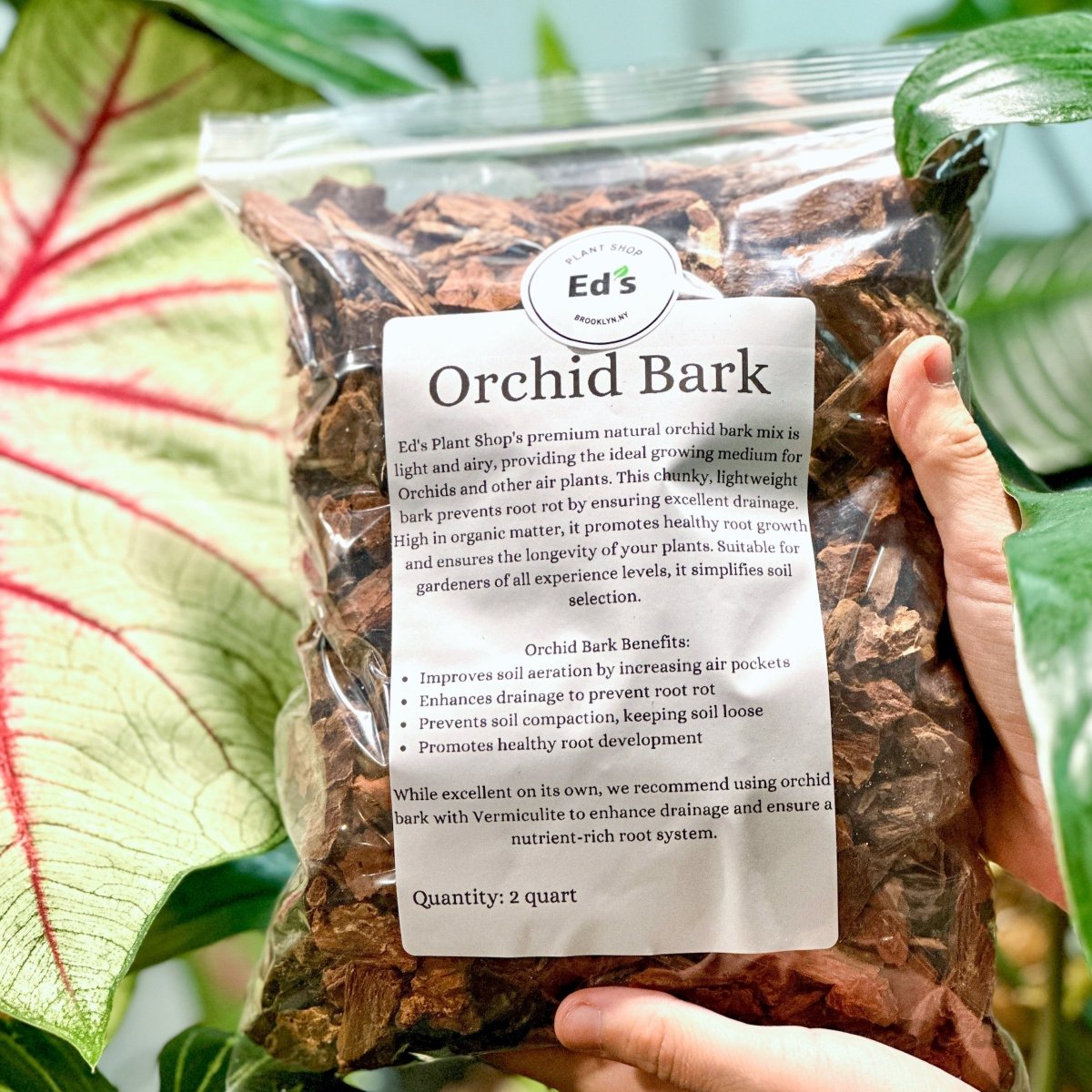 Orchid Bark: Lightweight Substrate For Orchids – Northern Ridge Nursery