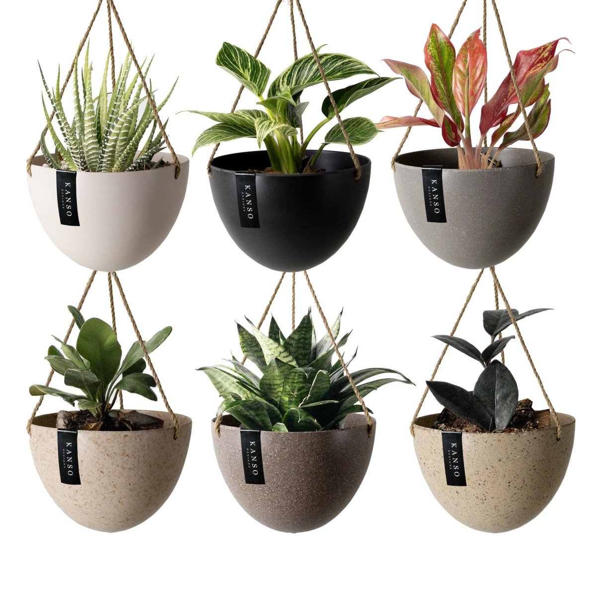Signature Stone Hanging Planter Pot 8 Inch (Round Bottom) – Northern ...