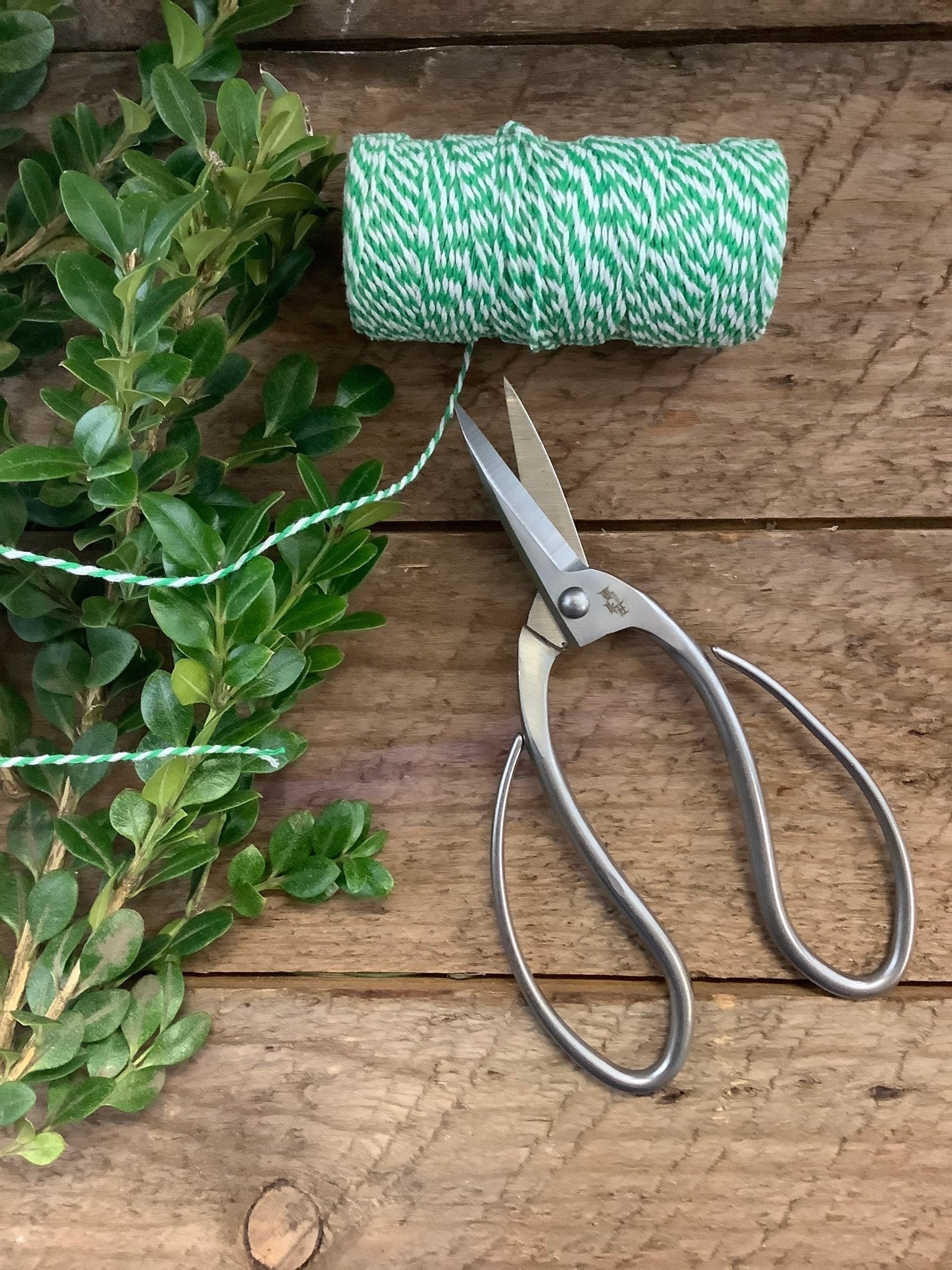 Stainless Garden Scissors (Pruning Shears/Pruners/Secateurs/Clippers ...