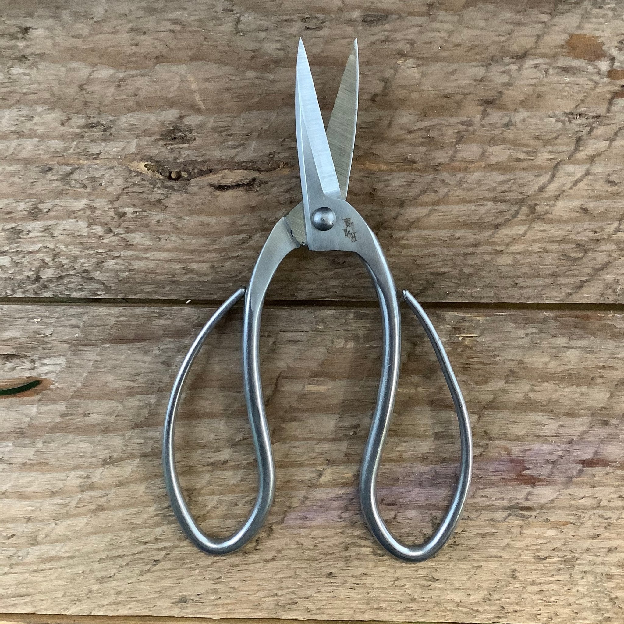 Stainless Garden Scissors (Pruning Shears/Pruners/Secateurs/Clippers ...