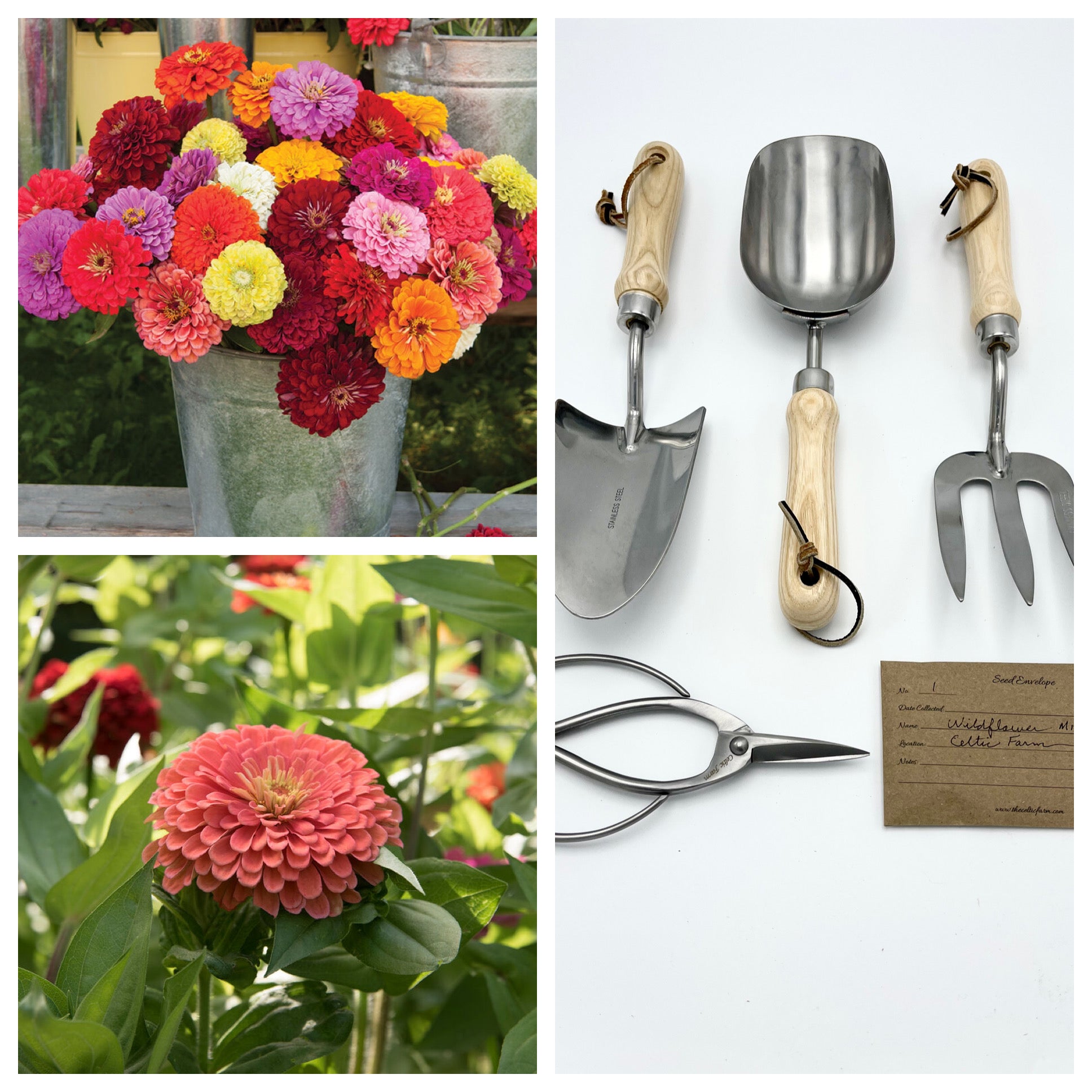 Zany for Zinnias - Our Grow Kit Gift Box with Zinnias – Northern Ridge ...